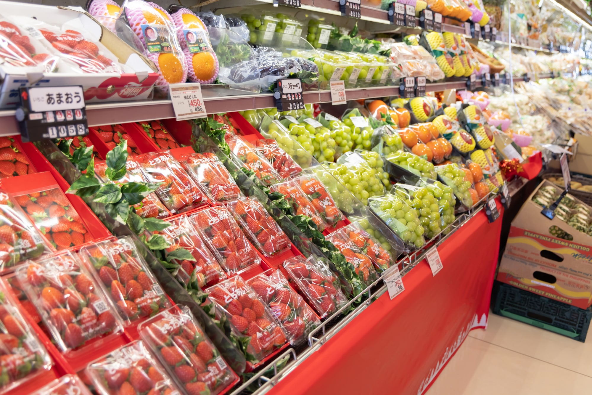 「世界の小売業」売上高ランキングTOP10！ 第1位は「Walmart」【2023年最新調査結果】（1/5） | ライフ ねとらぼリサーチ