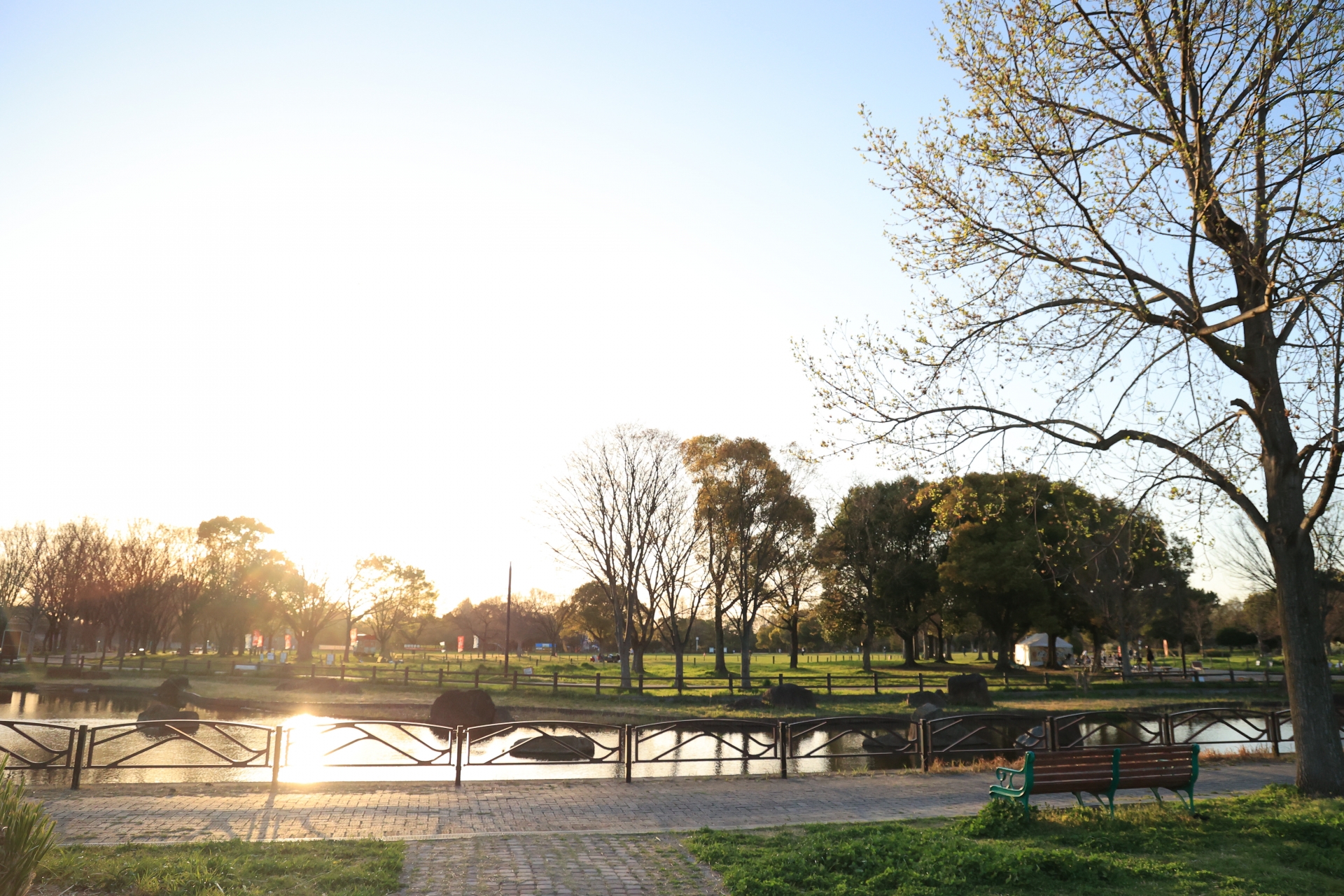 名前がかっこいい「大阪府の市町村」ランキングTOP29！ 第1位は「四條畷市」【2025年最新調査結果】（コメント一覧） | 大阪府 ねとらぼリサーチ