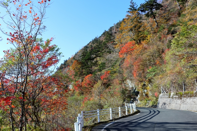 【関西地方在住者に聞いた】紅葉を見に行きたい「都道府県」ランキングTOP29！ 第1位は「京都府」【2025年最新調査結果】（画像） | ライフ ねとらぼリサーチ