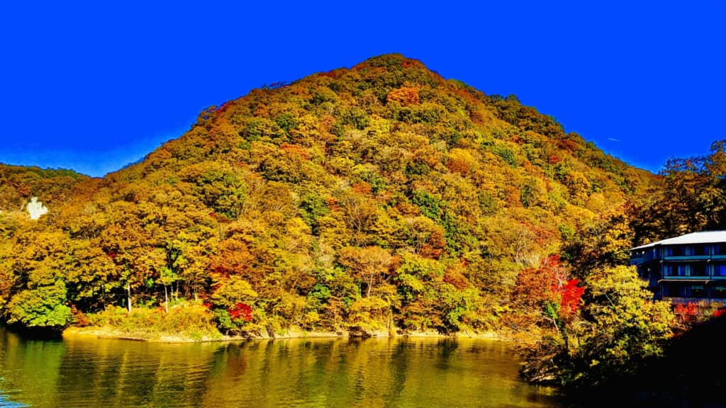 【関西地方在住者に聞いた】紅葉を見に行きたい「都道府県」ランキングTOP29！ 第1位は「京都府」【2025年最新調査結果】（画像） | ライフ ねとらぼリサーチ