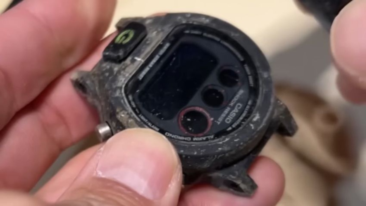 Hiroshima dragonflies