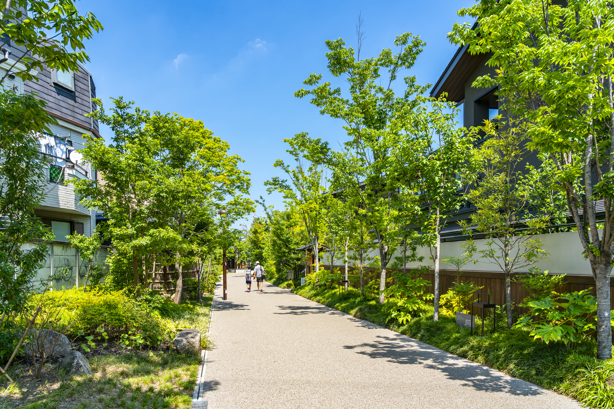 「一番住みやすいし大好き」 永住したいと思う「東京23区」ランキング第1位に集まった声！ 「ちょっと路地に入れば静かでイイ街」「商店街が ...